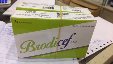 Thuốc brodicef 500mg là thuốc gì? có tác dụng gì? giá bao nhiêu tiền?